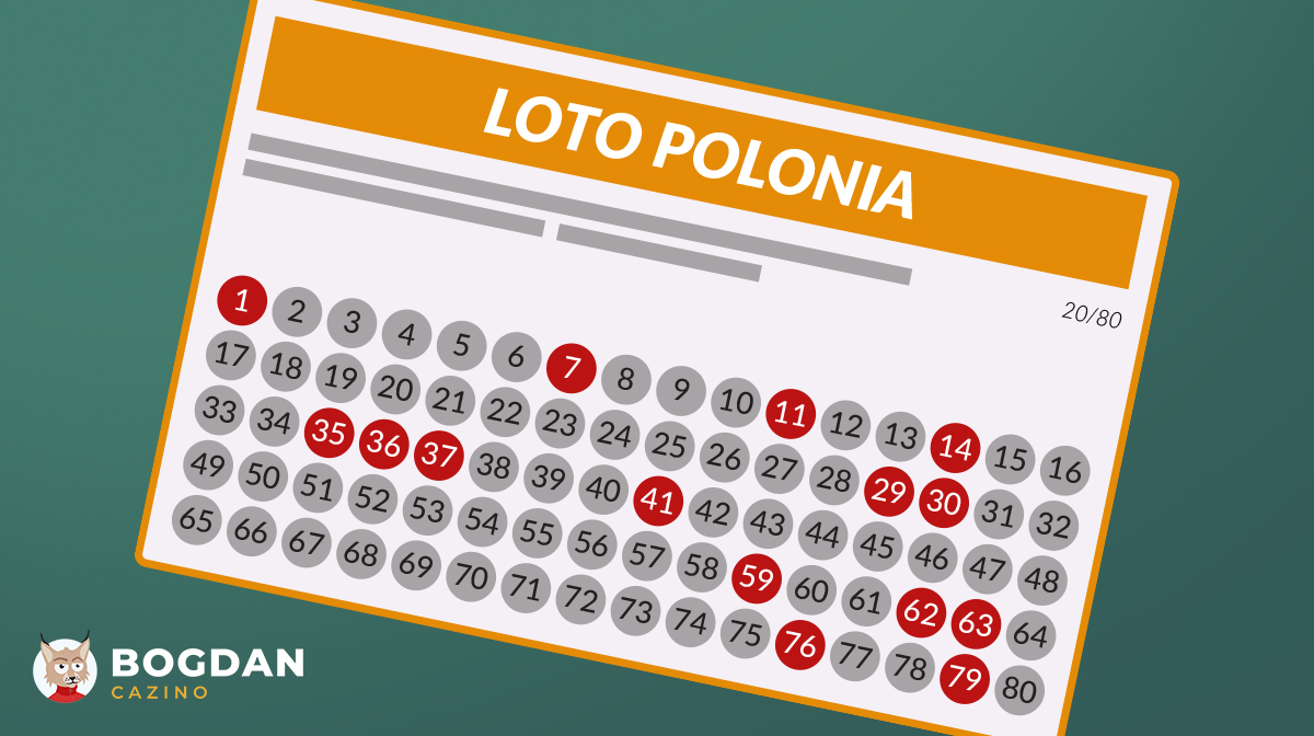 Loto Polonia - Joacă Polonia Multi 1 și 2 și vezi rezultate